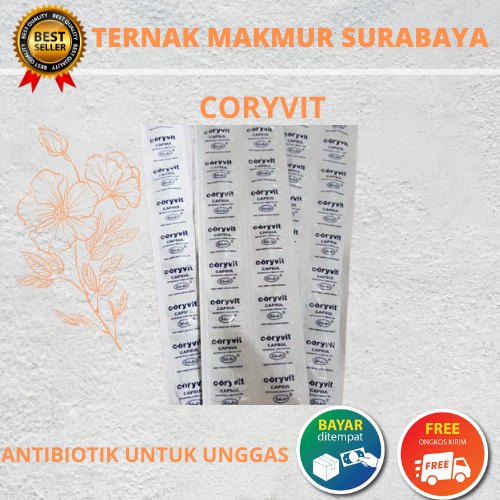 Jual Coryvit kapsul (harga per 1 strip) | Shopee Indonesia