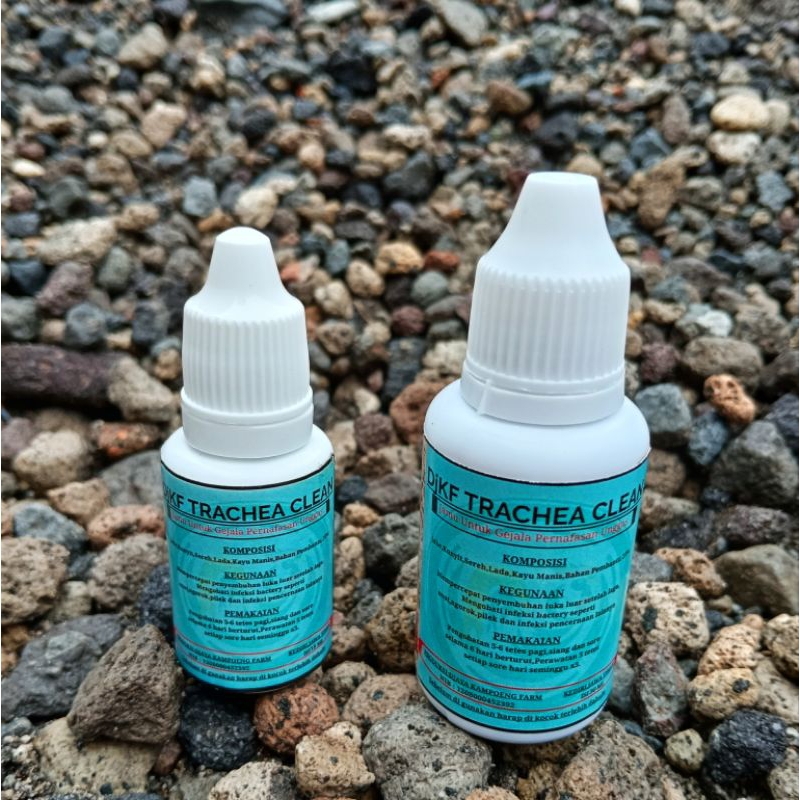 Jual DjKF Trachea Clean 15ml/30ml - Jamu Ayam Obat Ayam Aduan Snot CRD ...