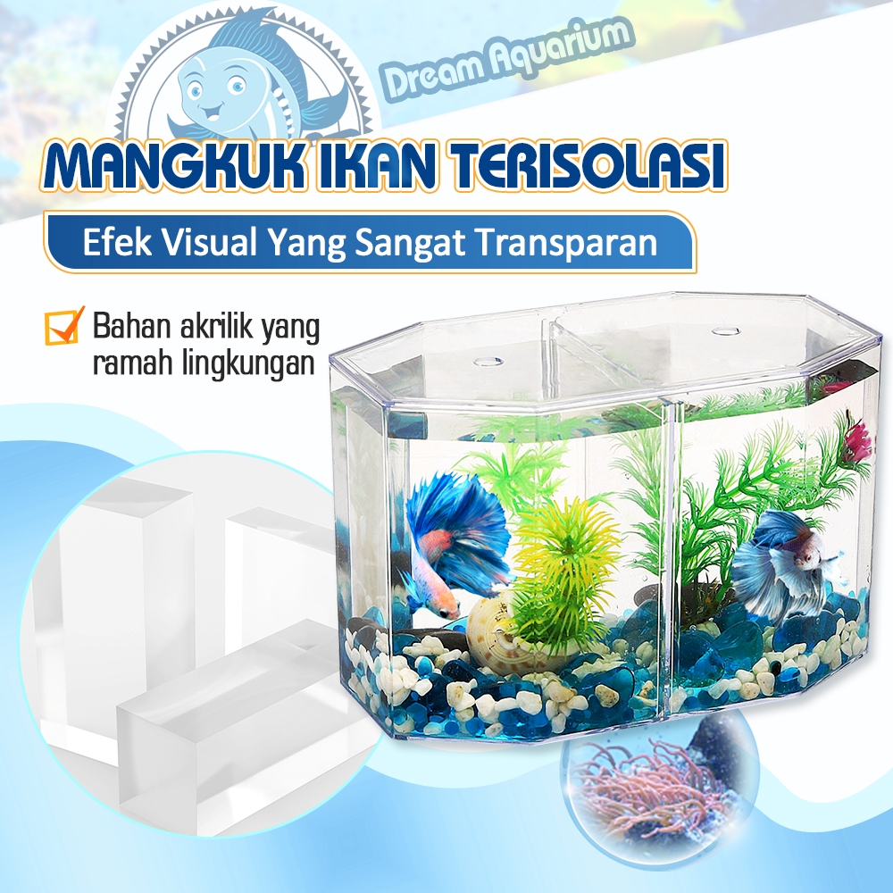 Jual Aquarium Mini Fish Tank Tangki Sekat Kotak Dual Betta Fish tank 2 ...