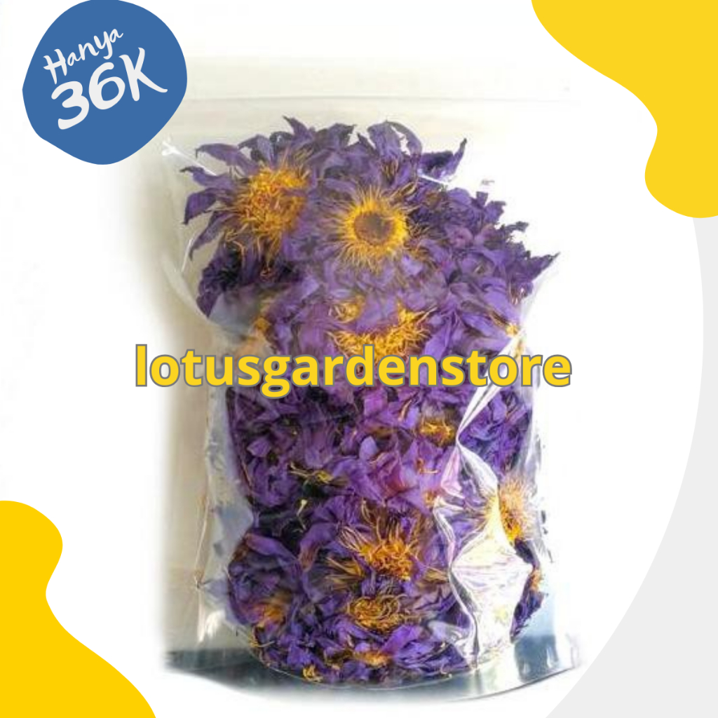 Jual BUNGA LOTUS BIRU KERING / DRIED BLUE LOTUS / DRIED FLOWER / BLUE ...