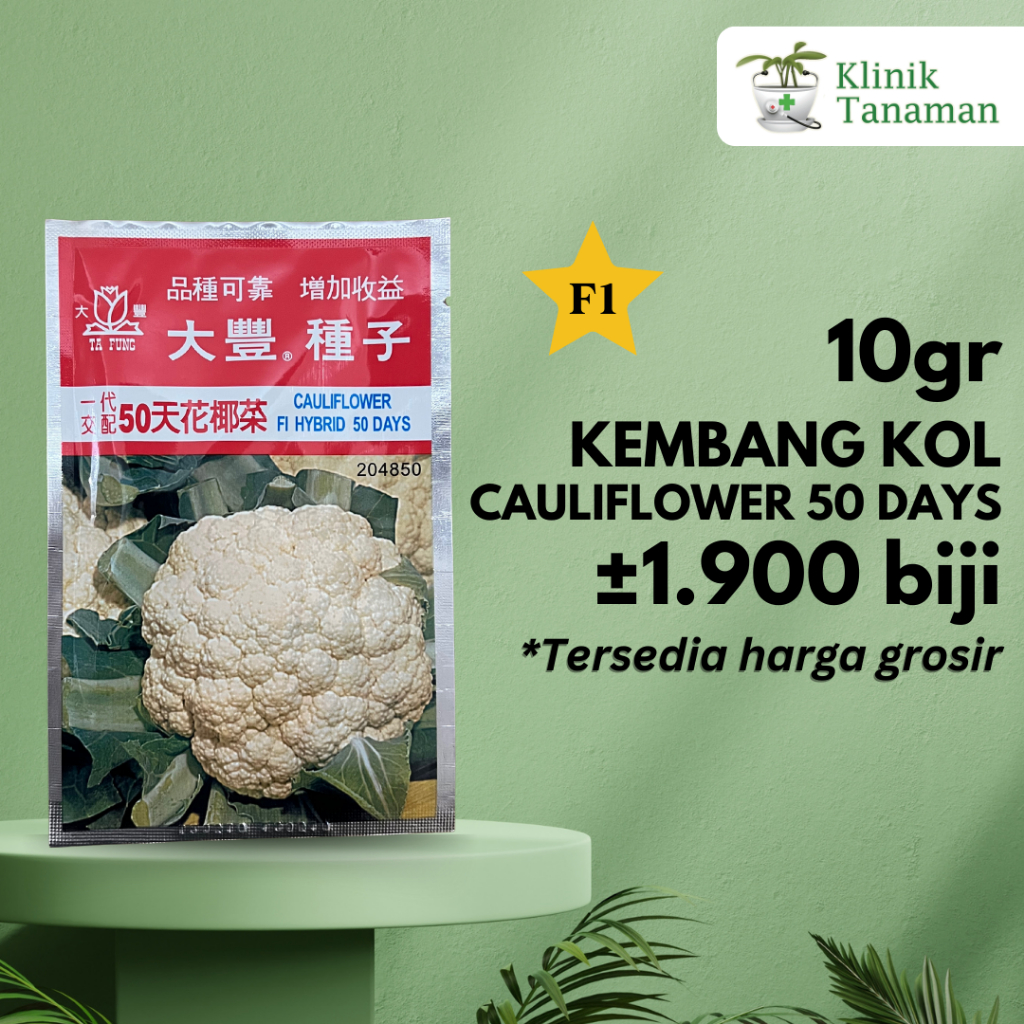 Jual Benih Bunga Kol Cauliflower 50 Days 10gr (1.900 Biji) Bibit ...