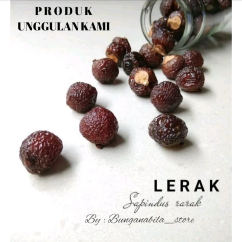 Jual LERAK KLEREK BUAH DAN BIJI 1KG | Shopee Indonesia