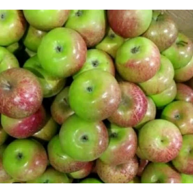 Jual apel malang/apel ijo segar 1kg | Shopee Indonesia