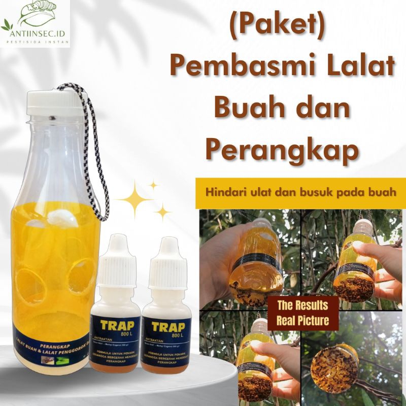 Jual Perangkap Lalat Buah Atraktan 800L (Paket) | Shopee Indonesia