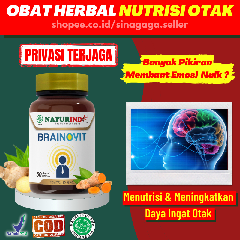Jual Vitamin Otak Nutrisi Otak Obat Herbal Meningkatkan Daya Ingat Otak ...