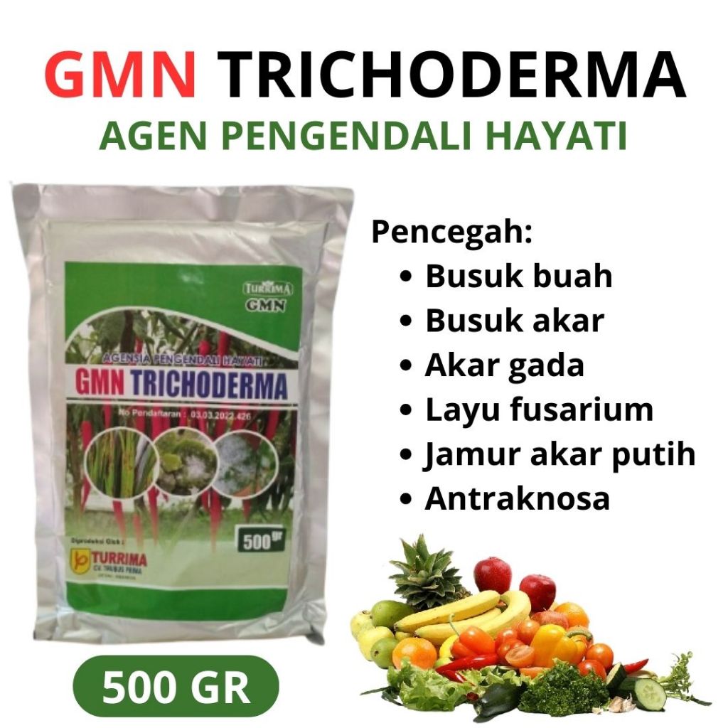 Jual Pupuk GMN Trichoderma - Pupuk Hayati Padat Pencegah Layu Fusarium ...