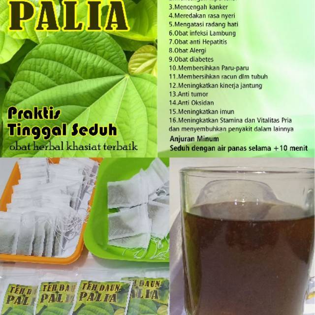 Jual TEH SEDUH DAUN PALIASA | Shopee Indonesia