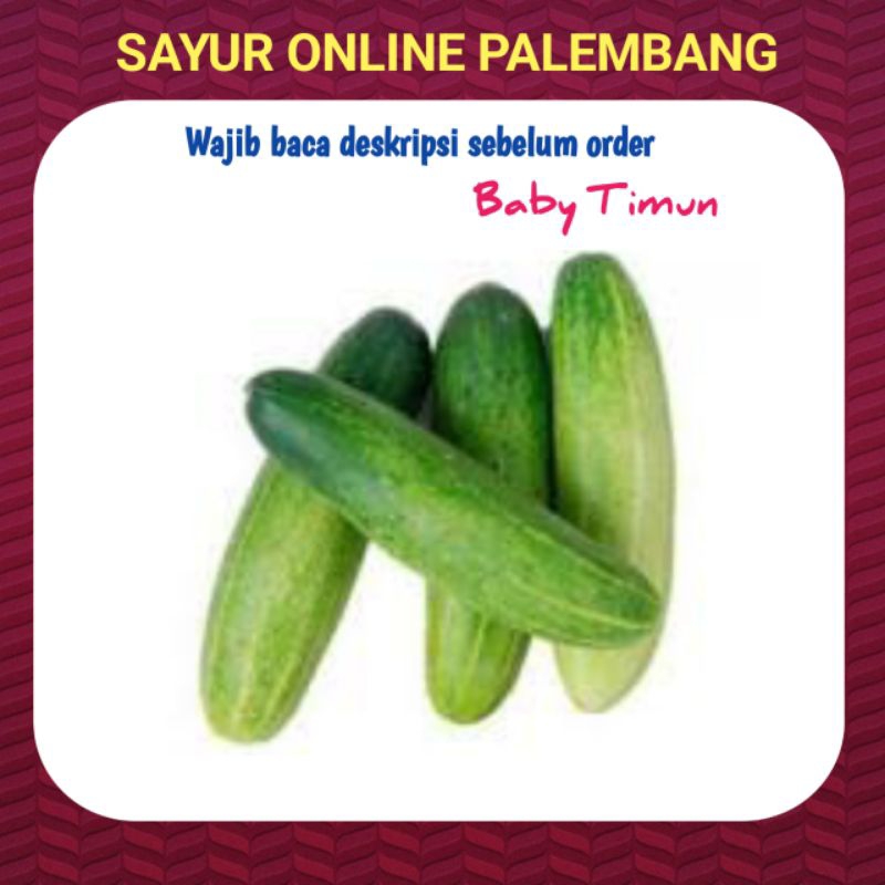 Jual Baby Timun Lalap - Sayur Online Palembang | Shopee Indonesia