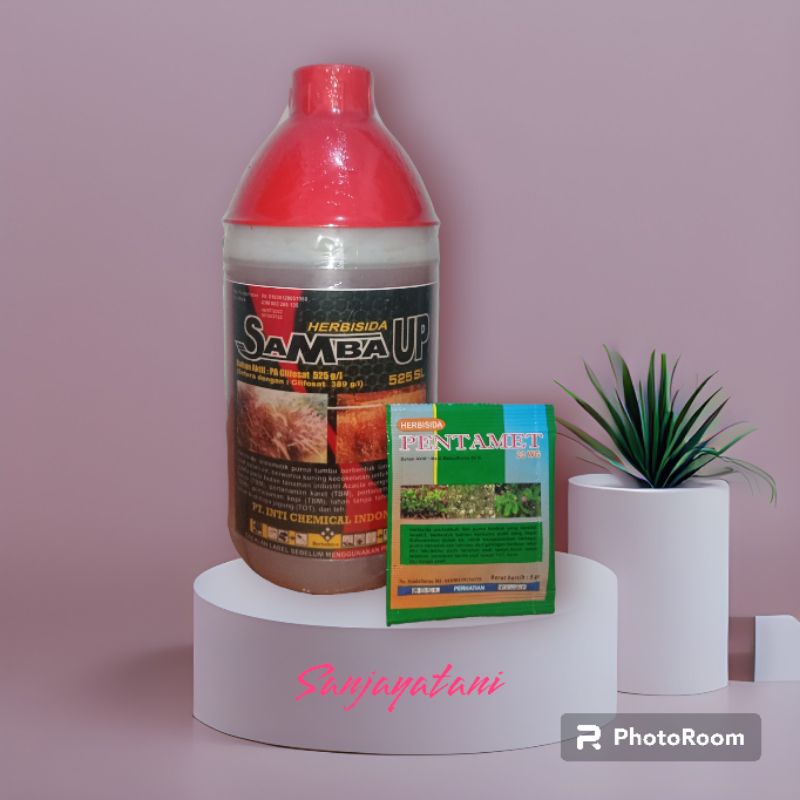 Jual OBAT RUMPUT SAMBA UP 525 SL 1LT ,HERBISIDA SISTEMIK AMPUH (BONUS ...