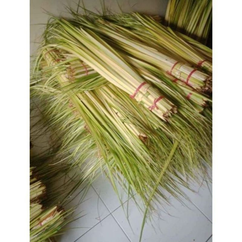 Jual JUAL JANUR KUNING/DAUN PUCUK KELAPA TERMURAH 1 IKAT isi 20 pcs ...