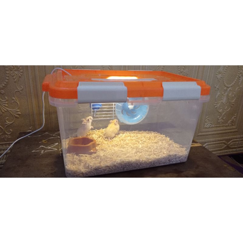 Jual KANDANG/BOX COUNTENER HAMASTER / REPTIL / ULAR/ LANDAK MINI ...