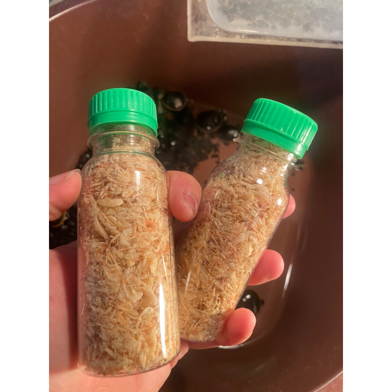 Jual Udang Kering Ebi Pakan Ikan Kura Kura 100 ml | Shopee Indonesia
