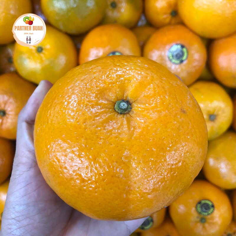 Jual Jeruk Honey Murcot Jumbo Premium 1 kg | Shopee Indonesia