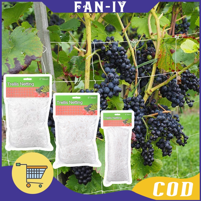 Jual 5m 10m 20m Alat Rambatan Tanaman Jaring Pertanian Jaring Sayuran ...