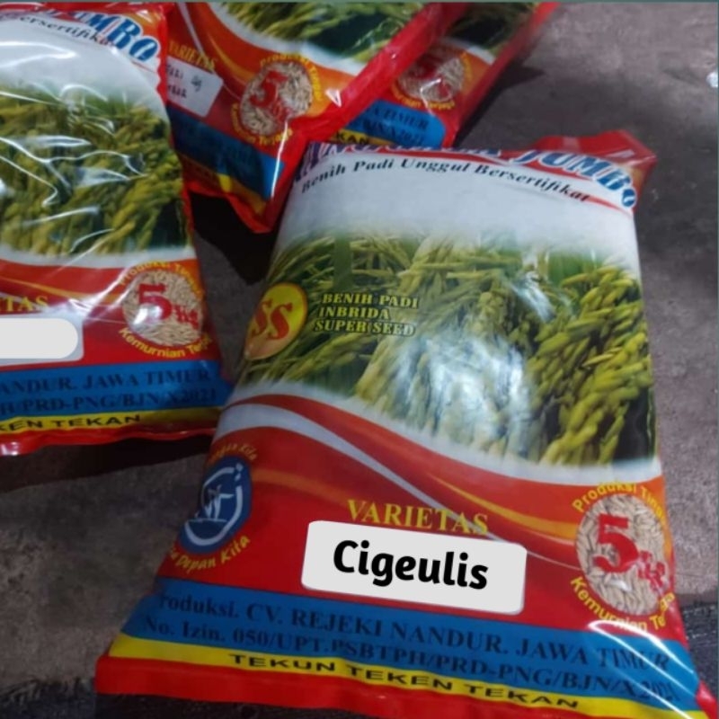 Jual Benih padi CIGEULIS kemasan 5kg | Shopee Indonesia
