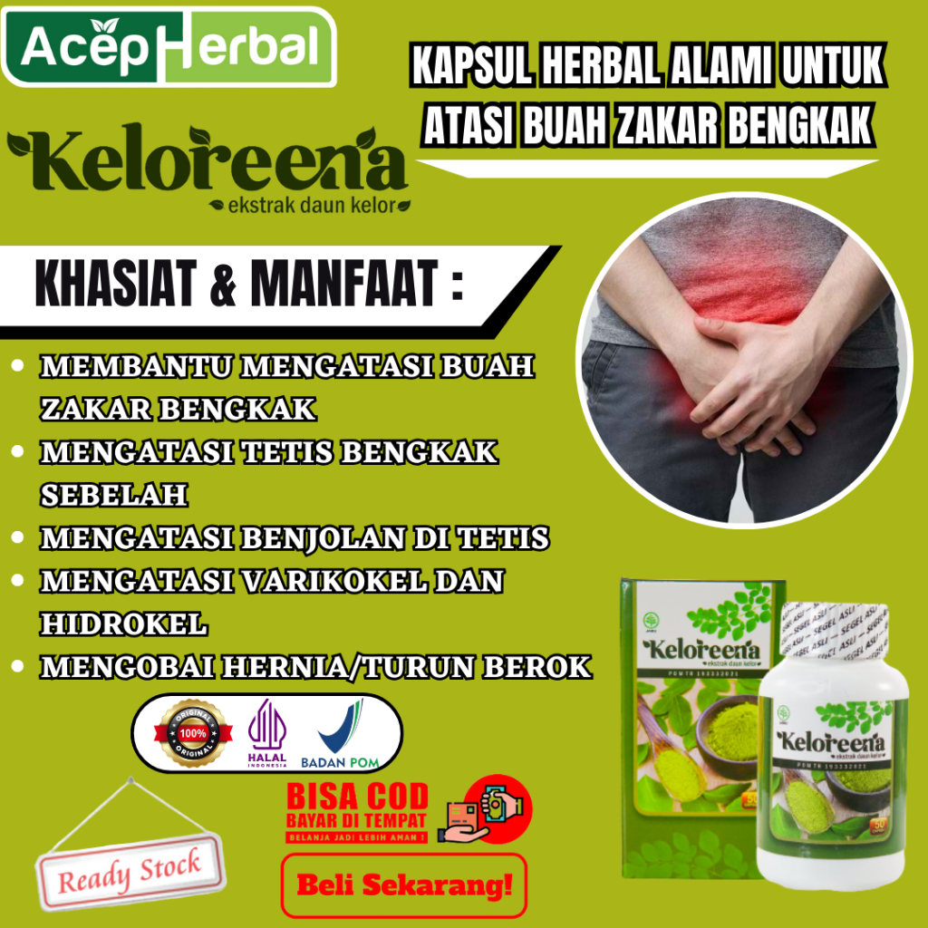 Jual Obat Buah Zakar Bengkak, Obat Tetis Bengkak, Obat Benjolan Di ...