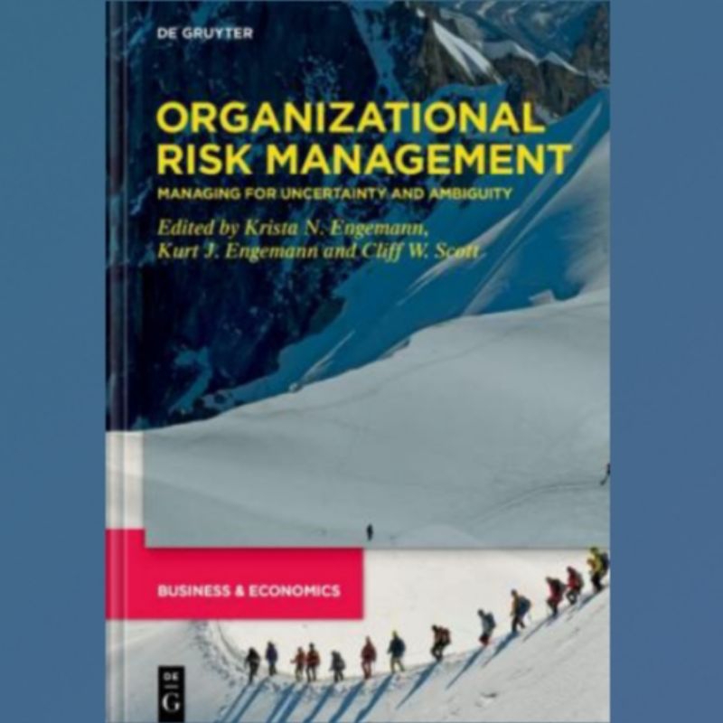 Jual Buku Organizational Risk Management: Managing for Uncertainty and ...