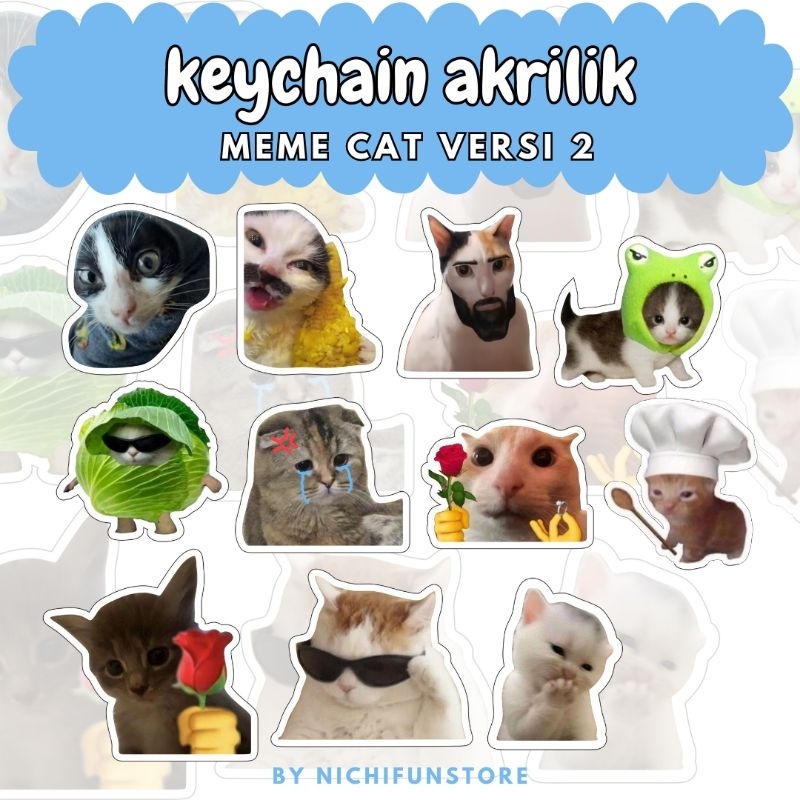 Jual [MEME CAT VER. 2] KEYCHAIN AKRILIK / GANTUNGAN KUNCI AKRILIK ...
