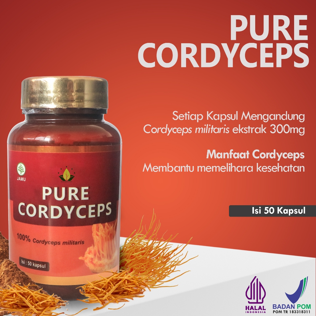 Jual Herbal Yang Paling Ampuh CORDYCEPS Kapsul Untuk Membantu Mengatasi ...
