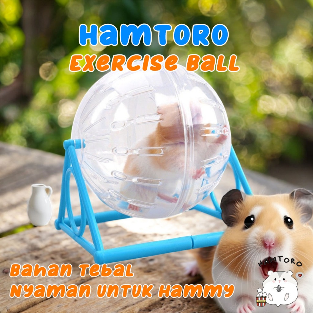Jual Hamtoro Exercise Ball 2 in 1 Bahan TEBAL & Besar Mainan Kincir ...