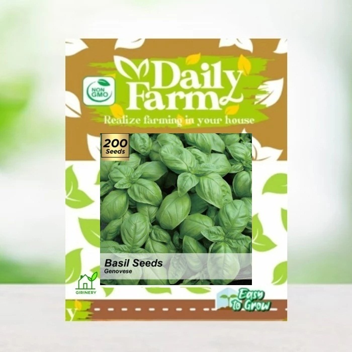 Jual Benih SWEET BASIL GENOVESE - Daily Farm - Kemasan Original ...