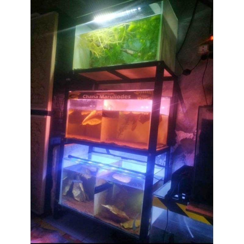 Jual Rak aquarium 30x50 3 susun | Shopee Indonesia