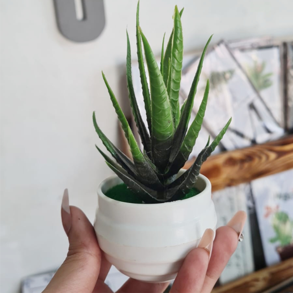 Jual Bunga Plastik Mini Artificial Lidah Buaya Mini Baby Breath ...