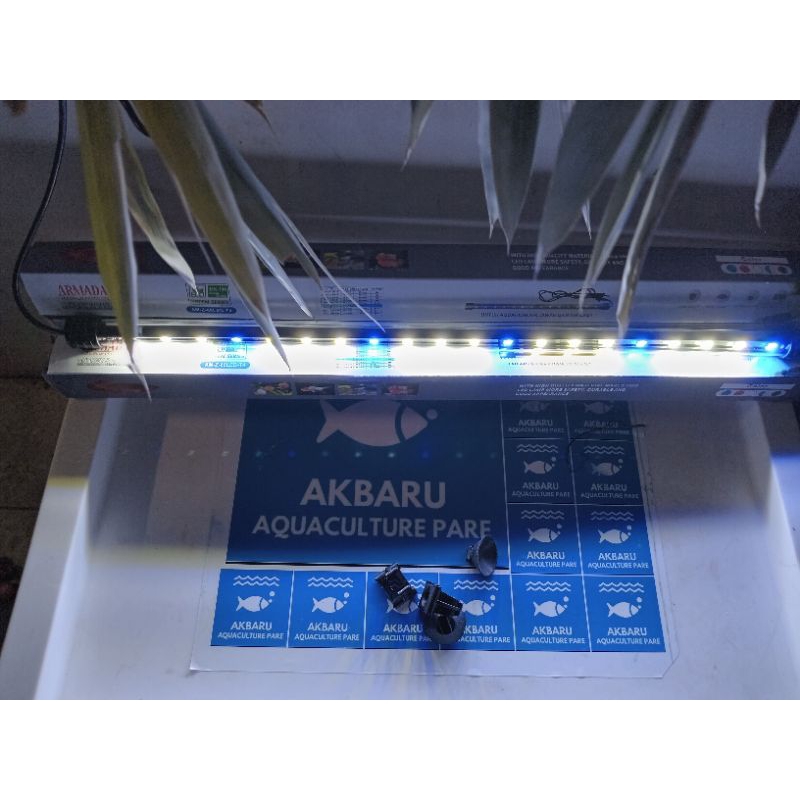 Jual lampu aquarium 50cm armada AM-Z-60 LED T4 warna putih biru | Shopee Indonesia