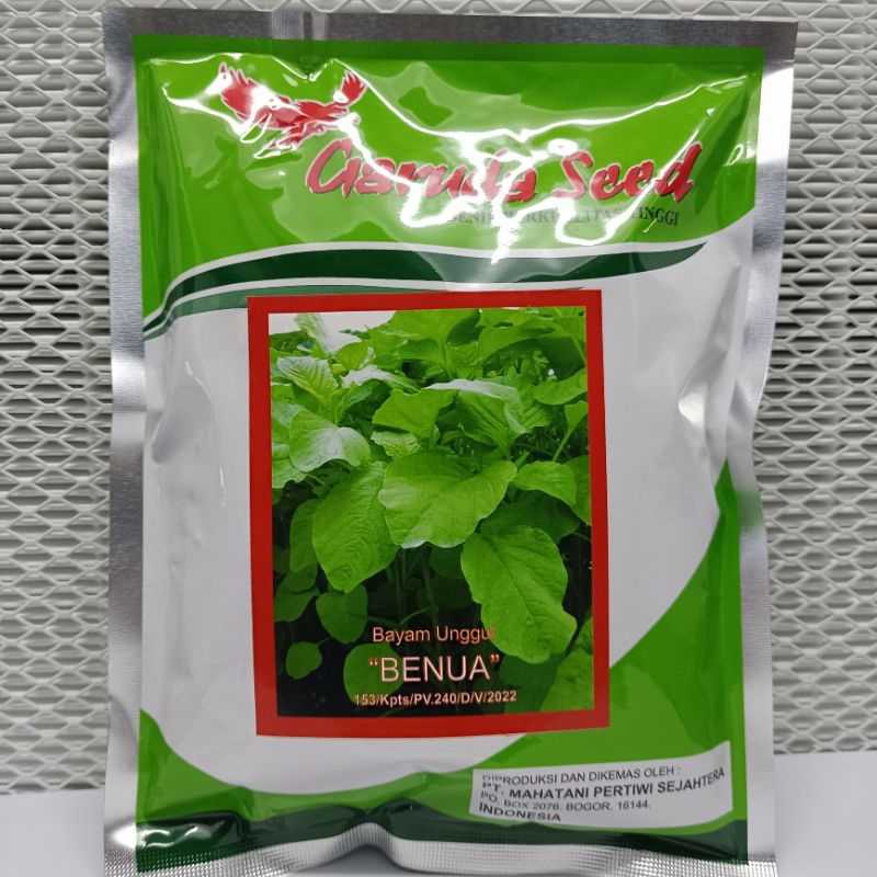 Jual (BISA COD) 500 GRAM - BENIH BIBIT BAYAM HIJAU CABUT "BENUA ...