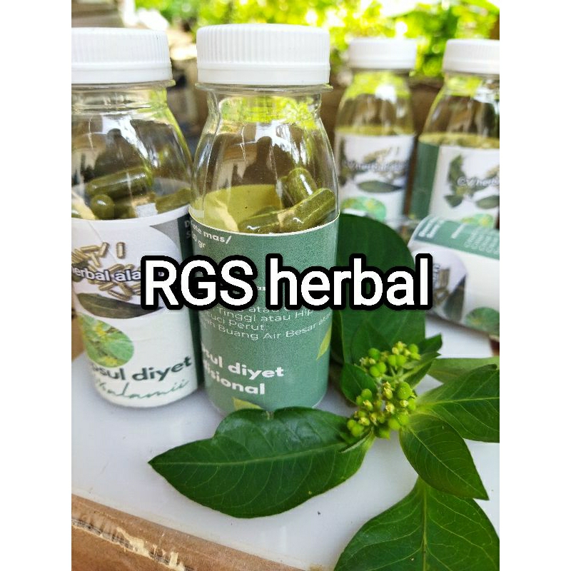 Jual Kapsul daun sena/ kate mas obat diyet alami isi 50 kapsul | Shopee ...