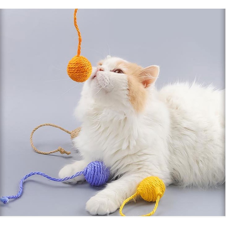 Jual [HACIKO PETSHOP] Mainan Kucing Tikus Goyang Bola Bulu Pet Toys Dog ...