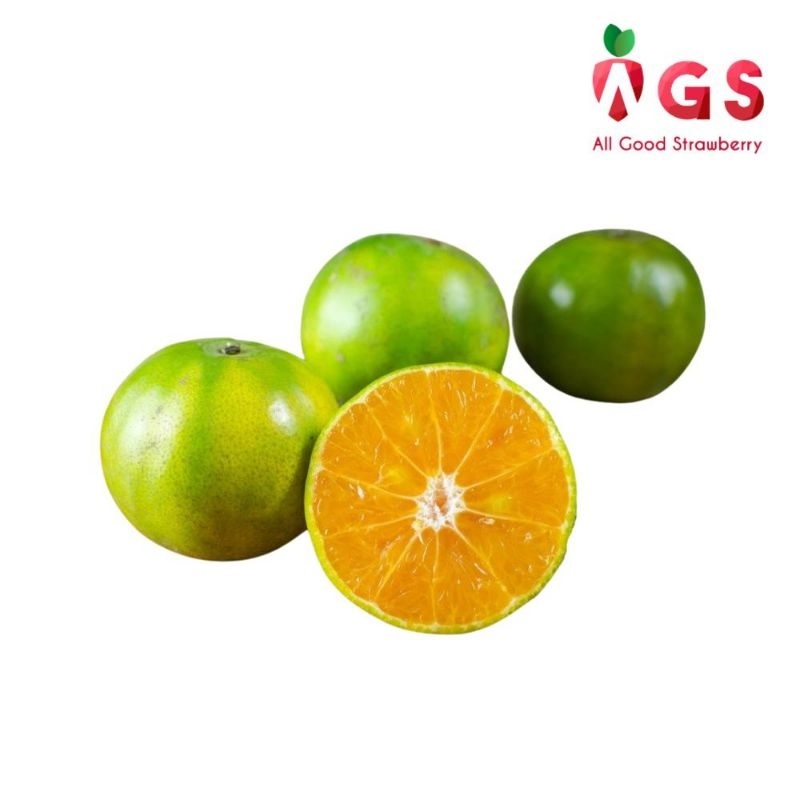 Jual Jeruk Peras Jember 1 kg | Shopee Indonesia