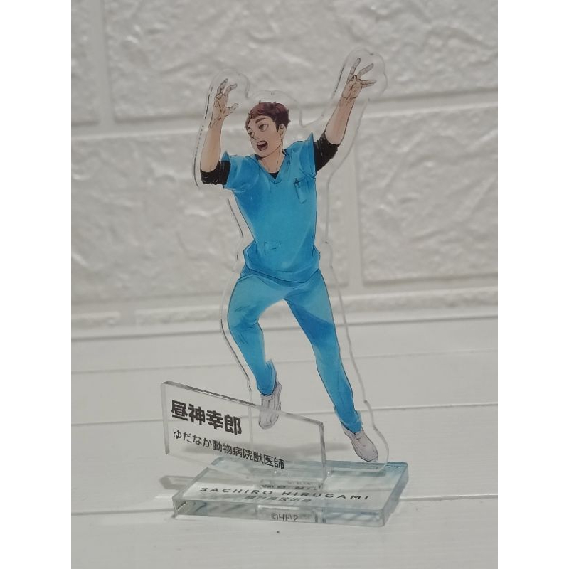 Jual Official standee haikyuu chronicle - Hirugami Sachiro | Shopee ...