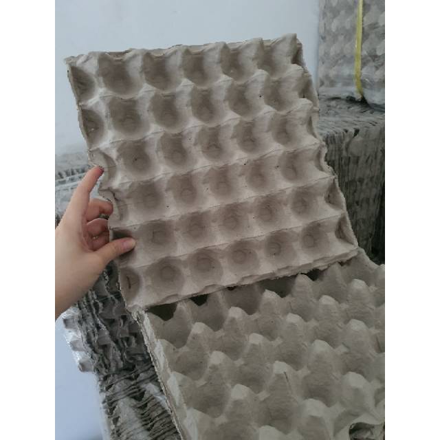 Jual Egg Tray 1PCS Karton tempat alas / Rak Telor / Egg Tray / Karton ...