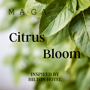Jual MAGA Citrus Bloom Fragrance Oil | Shopee Indonesia