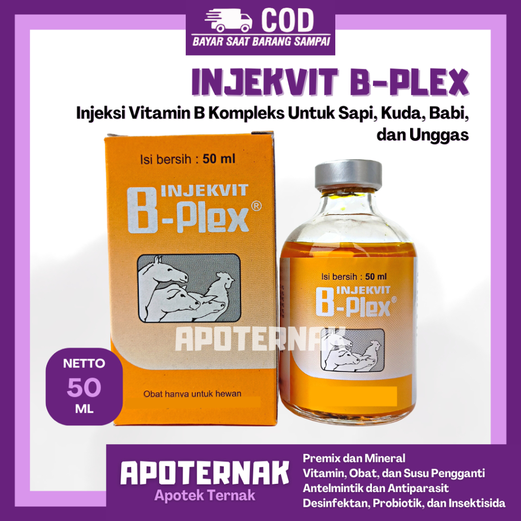 Jual INJEKVIT B-PLEX 50 mL Inj | Tingkatkan Produktivitas dan Imun ...