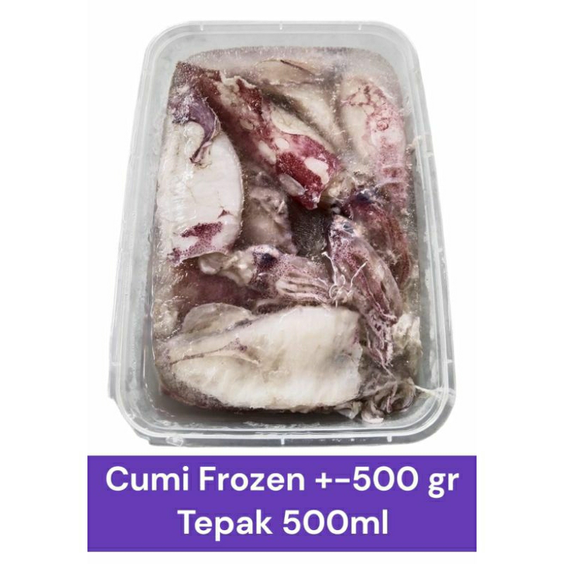 Jual Cumi cumi Beku 500 gram | Cumi Frozen | Cumi laut | Shopee Indonesia