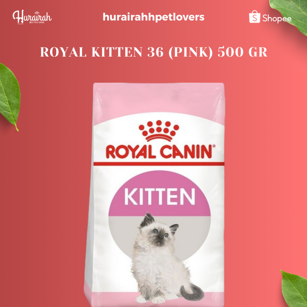 Jual ROYAL CANIN KITTEN 36 (PINK) 500 GR (REPACK) | Shopee Indonesia