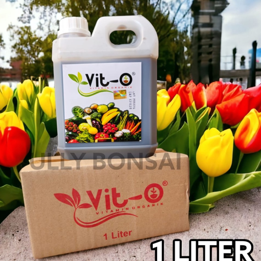 Jual MEGA SALE Pupuk Vitamin Tanaman Super VITO Nutrisi Segala Jenis ...