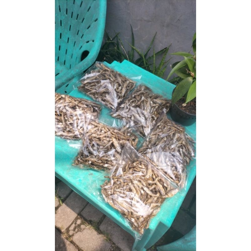 Jual Ikan Bilih ASLI & MURNI Danau Singkarak | Shopee Indonesia Jual Ikan Bilih ASLI & MURNI Danau Singkarak | Shopee Indonesia