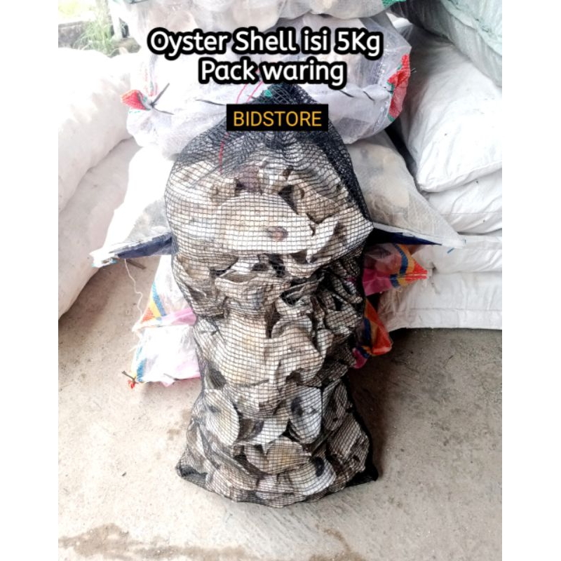 Jual kulit kerang Oyster shell 5 kg kemasan waring jaring net Filter ...