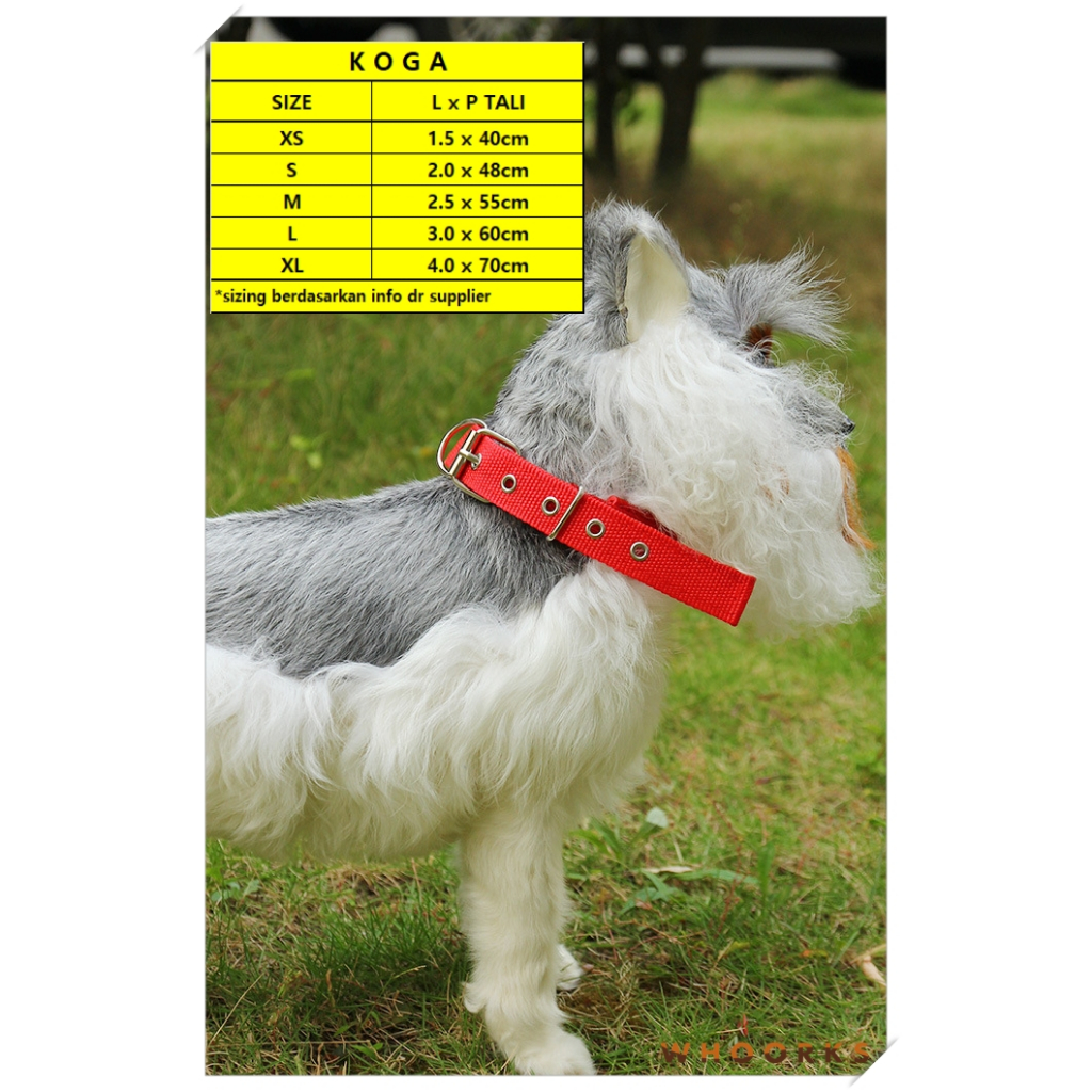 Jual [WHOORKS] KOGA PET DOG CAT TALI LEHER LEASH TUNTUN HEWAN ANJING ...