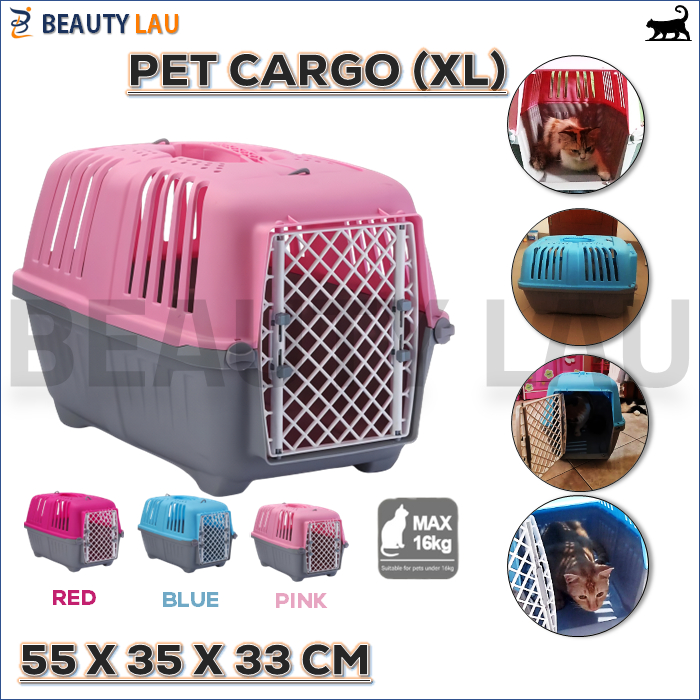 Jual Pet Cargo Kucing Jumbo XL Pet Carrier Cat Kargo Kucing Box Kucing ...