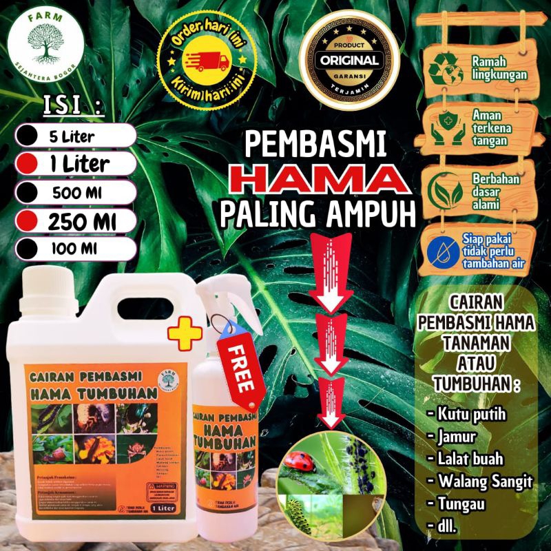 Jual cairan pembasmi hama tanaman dan tumbuhan ampuh[1 liter gratis ...
