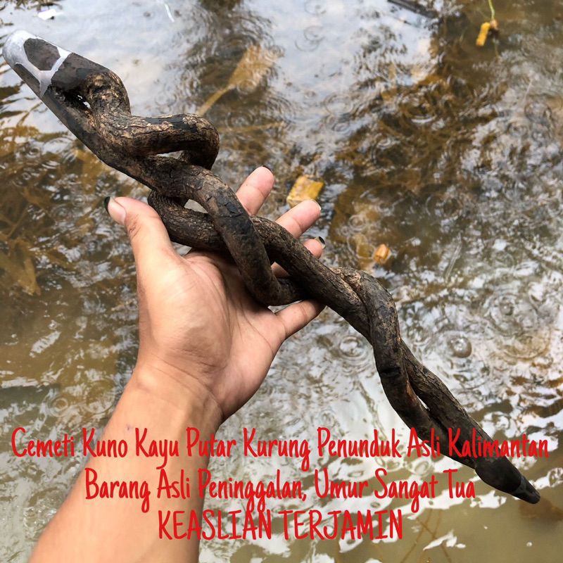Jual Cemeti Kayu Putar Kurung Sangat Langka Peninggalan | Shopee Indonesia