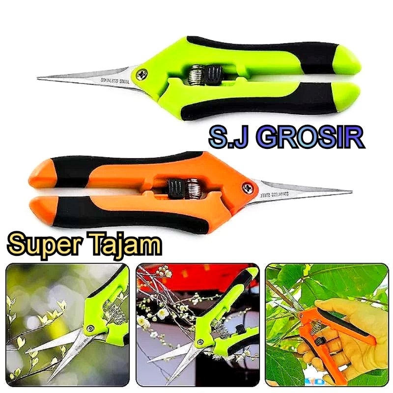 Jual Gunting dahan Ranting Pruning gunting tanaman baja 8" | Shopee ...