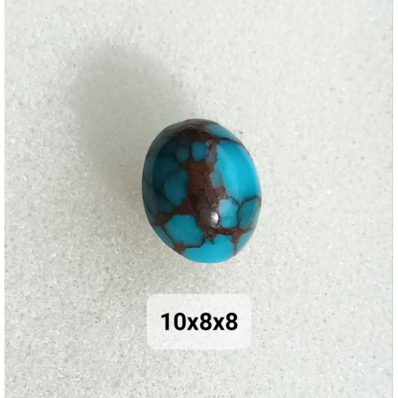 Jual Pirus Mesir Original 100% | Shopee Indonesia
