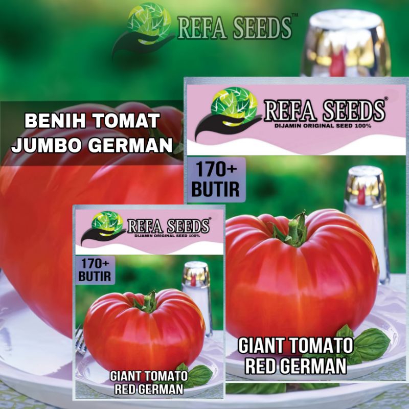 Jual Isi 170 Butir Benih Tomat Raksasa German Original Kemasan Refa ...