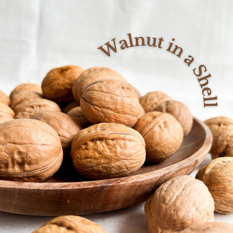 Jual Walnut in Shell (Organic & Premium Quality) | Hamster Natural ...