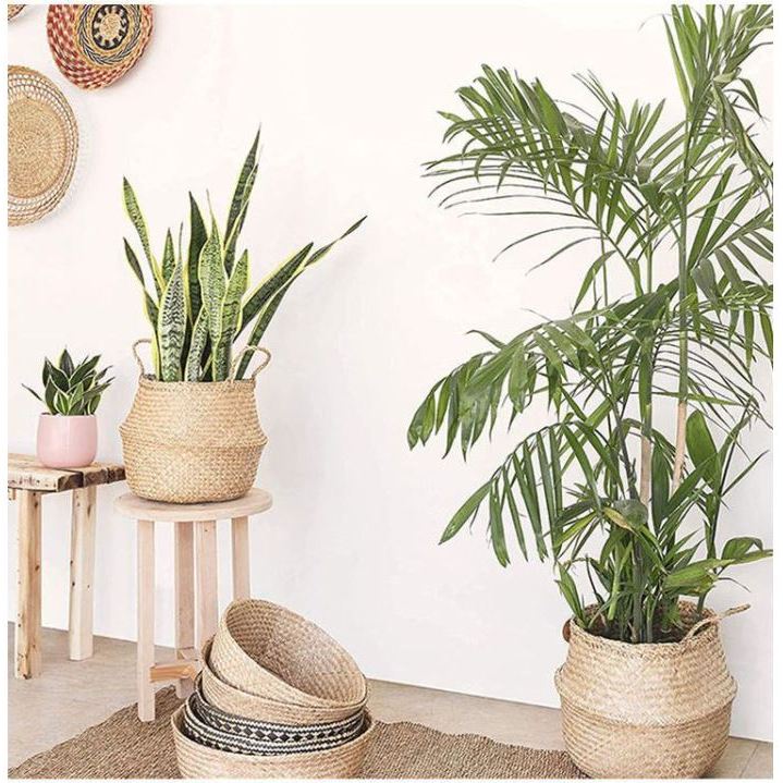Jual POT BUNGA ANYAMAN/PURUN ANYAMAN/COVER POT | Shopee Indonesia